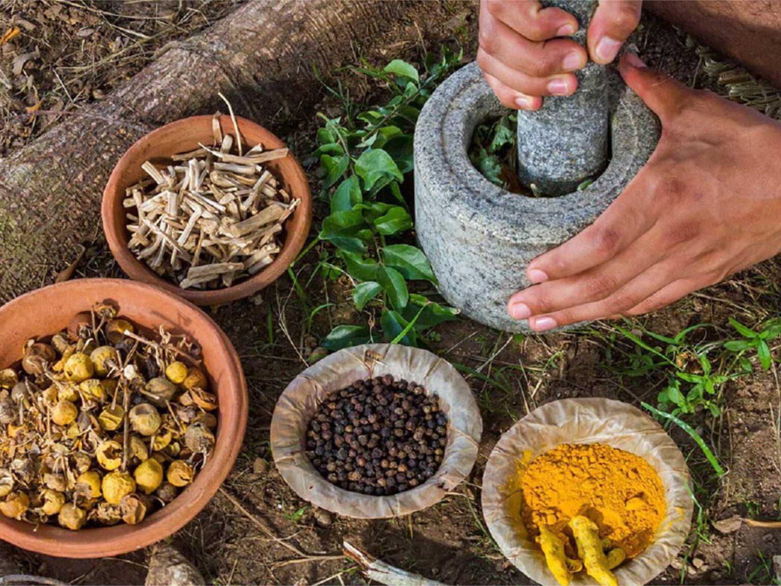 Traditional Medicine in Modern India - Jansankalp Foundation