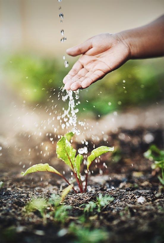 Food & Water - Jansankalp Foundation